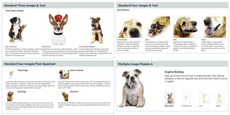 Amazon A+ Content: All Your Questions Answered – Webretailer.com